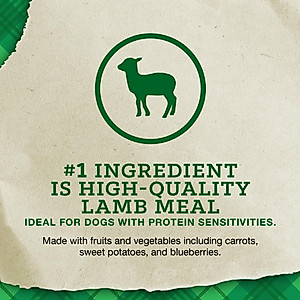 Nutrena Loyall Life Adult Lamb Meal & Brown Rice Recipe (40 Pounds), 1 Count (Pack of 1)