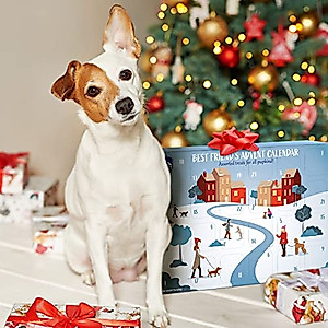 Himalayan Dog Chew 24 Joyful Days Dog Advent Calendar, 24 Tasty Dogs Treats for All Breeds, Himalayan Cheese Treats, Cookie Treats, Freeze Dried Whole Meat Treats