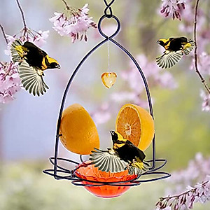 FORUP Oriole Bird Feeder, Orange Fruit Oriole Feeder