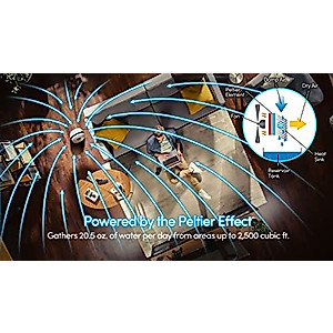 Eva-Dry Air Dehumidifier for Home – Portable Dehumidifier for Small & Medium Spaces Up to 2,500 Cubic Ft. – Quiet Dehumidifier for Basements, RVs, Bathrooms, Laundry Rooms, Campers, Bedrooms, & More