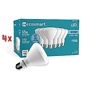 Ecosmart Daylight LED BR30 Dimmable Flood Bulb, 65W Replacement, 9 Watt, 685 Lumens - 5000K - Indoor/Outdoor Rated (6-Pack)