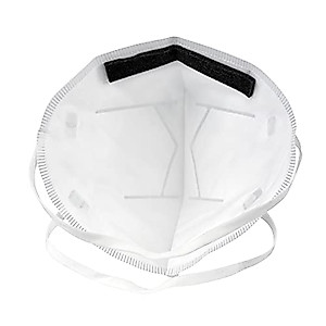 Honeywell Safety Products Safety DF300 H910P N95 Flatfold Disposable Respirator - Box of 50 (DF300H910N95)