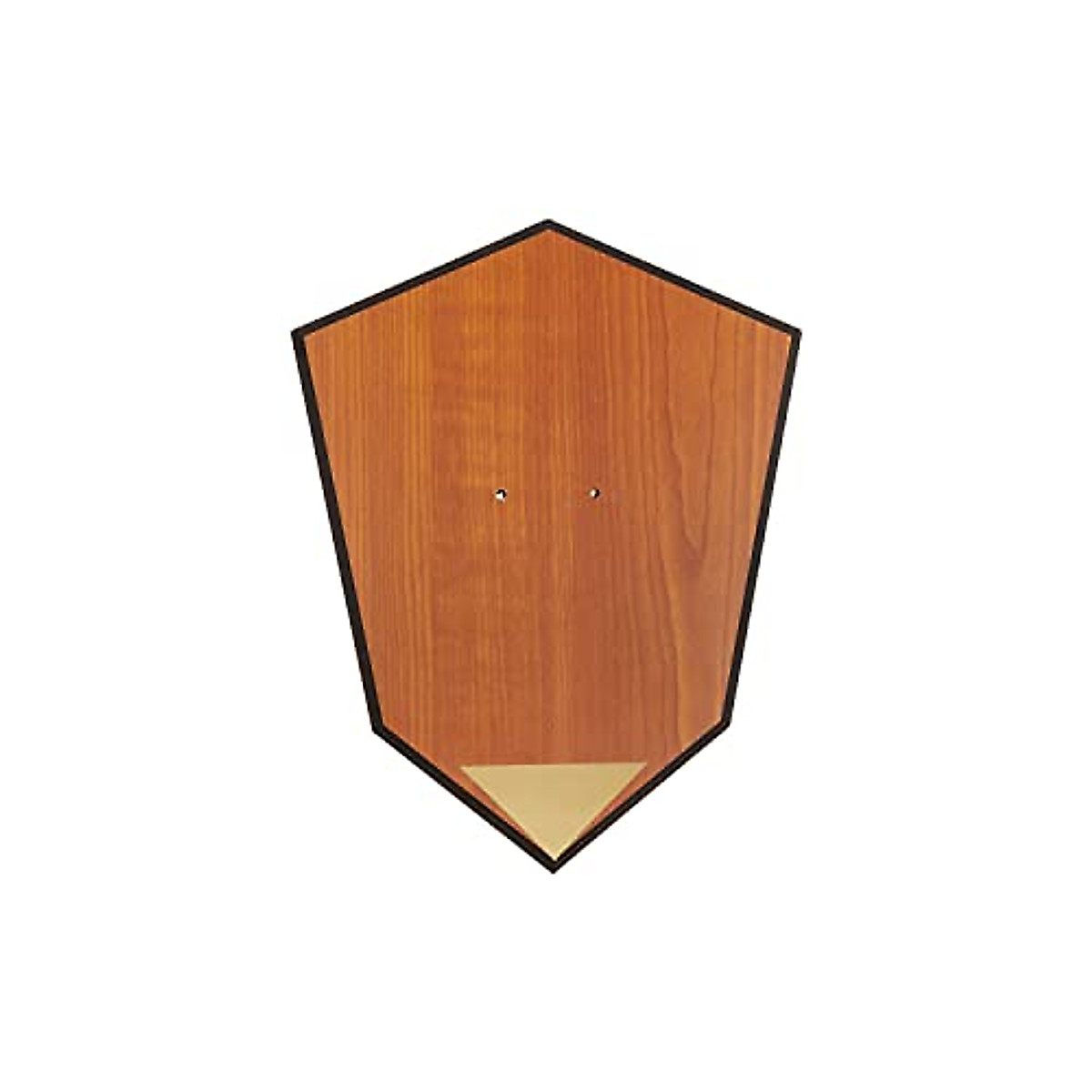 Allen Company Antler Mounting Kit with Skull Cover & Engraveable Plaque,Red,One Size,561