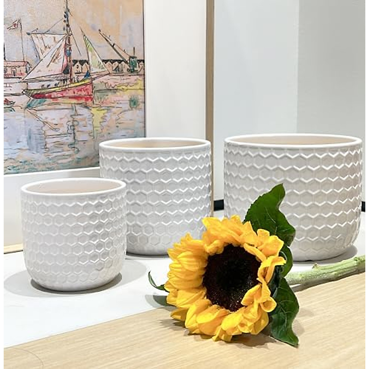 Docrin Ceramic Plant Pots Indoor: 6.5+5.3+4 Inch Planters with Drainage Holes for Home/Office - Set of 3 / White Honeycomb