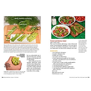 Edible Wild Plants, Volume 2: Wild Foods from Foraging to Feasting (Wild Food Adventure)