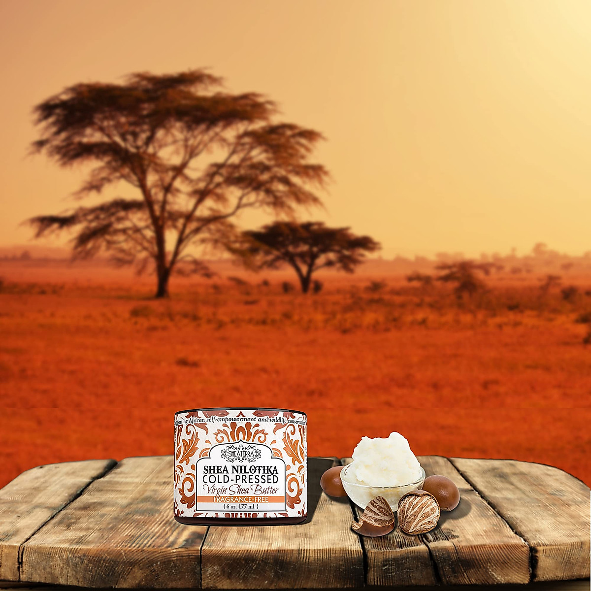 Shea Terra Organics 100% Organic Cold-Pressed Virgin Shea Butter – Fragrance-Free | Natural Anti-Aging Daily Skin, Nails & Hair Cream to Soften Dry Skin, Reduce Wrinkles & Stretch Marks – 6 oz