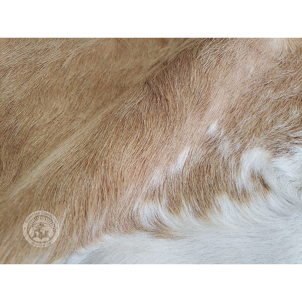 Genuine Palomino Beige and White Cowhide Rug 6 x 7-8 ft. 180 x 240 cm