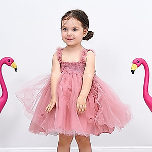 Miipat Baby Girls Tulle Dress Sleeveless Floral Butterfly Tutu Dress Toddler Girls Birthday Party Princess Dresses(DarkPink, 18-24M)