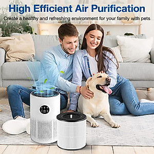 D10 Replacement Filter Compatible with Tailulu D10 HEPA Air Purifier, 3-in-1 H13 Grade True HEPA Replacement Filter, 360 Rotating D10 Filter, 2 Pack