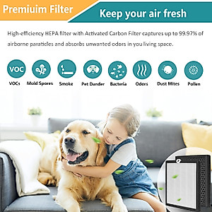 Lhari G3 Air Purifier Replacement Filter, Compatible with AMEIFU G3 Sferf-30 (FXAP2W) Air Purifier, VEWIOR A3 A3N Air Purifier and Tailulu HQZZ-260, 3-in-1 H13 True HEPA Air Cleaner Filter, 2 Pack