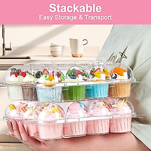 BORPEIN Cupcake Containers 12 Count Standard(12 count x 15 sets) Sturdy Strong Cupcake Boxes for 12 Cupcakes, Disposable Cupcake Carrier Holders, Clear Plastic Containers with Detachable Lid