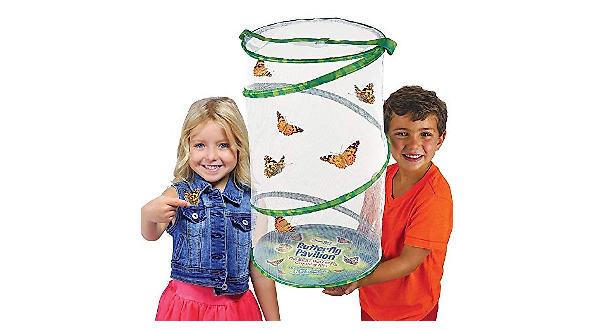 Insect Lore Butterfly Habitat - 3 Pack Terrariums