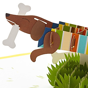 Hallmark Signature Paper Wonder Pop Up Birthday Card, Fathers Day Card (Dachshund, Happy All Day Long) (1299RZH1143)