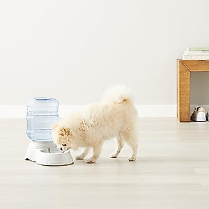 Amazon Basics Gravity Pet Waterer for Dogs and Cats, Small, 1 Gallon Capacity, Gray