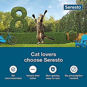 Seresto Cat Vet-Recommended Flea & Tick Treatment & Prevention Collar for Cats | 8 Months Protection