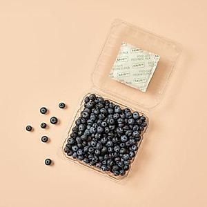 SAVRpak Freshness Packs keep your produce fresh and tasty 2-4X longer. SAVRpak is food-safe and certified for use with organics (20)