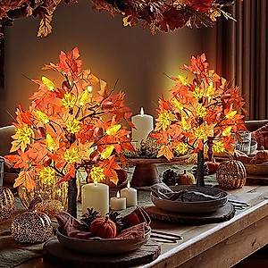 SURCVIO 2 Pack 24 Inch Prelit Fall Maple Tree Fall Decor with 48 LEDs Timer Battery Operated Pinecones Acorns Artificial Autumn Maple Tree for Thanksgiving Harvest Indoor Outdoor Home Decorations