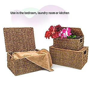 Set of 3 Rectangular Seagrass Baskets with Lids by Trademark Innovations