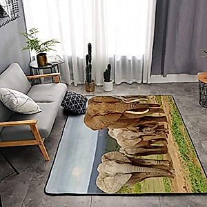 Washable Area Sponge Rug Mat for Kids Girls Boys Bedroom Living Room African Elephant, Exotic Jungle Wild Animal Non-Slip Carpet Super Soft Extra Thick Bathroom Dorm Home Indoor Small Floor Rugs