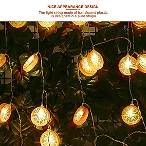 HelloCreate Fruit String Light Orange Lemon Slices Outdoor String Light Battery Operated Fruit Twinkle LED String Lights for Wedding Festival Party Garden Decor (Orange, 6m 40LEDs)