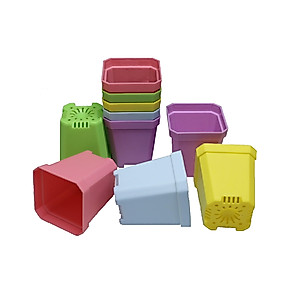 Lil Gnomies Propagator with Humidity Dome Durable Seed Tray Germinating Cutting Clone & Plant Propagation Kit (Propagator+24LitePot)