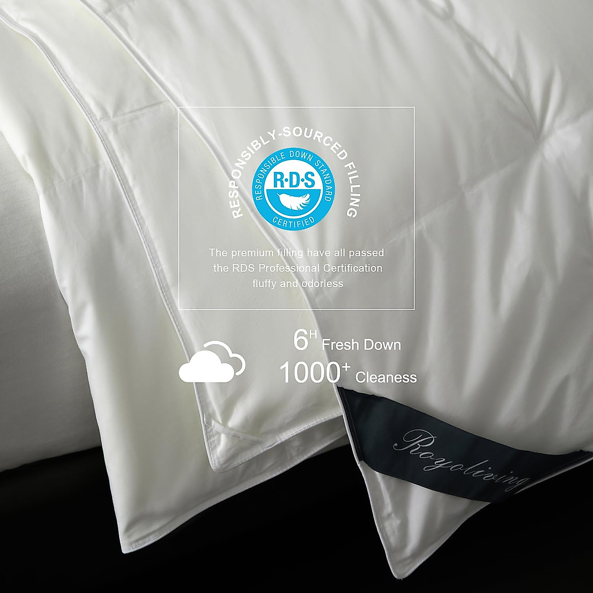 Royoliving Premium Lightweight Feathers Down Comforter Queen Size Summer Cooling Down Blanket Full Size White Duvet Insert, 100% Cotton Cover with Coner Tabs (90x90, 35 oz)
