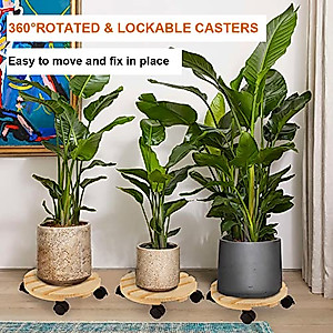 LiveBe 12 Inch Round Plant Caddy Heavy Duty Plant Pot with 4 Rolling Wheels(2 Lockable Caster Wheels), Indoor Outdoor on Roller Patio/Flower Pot/Succulent Pots(2 Pack) (Nature)