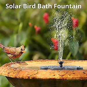 Qualife Solar Water Fountains Outdoor, Solar Powered Fountain Pump for Bird Bath,1.6W Solar Pond Fountain Pump for Garden Decor,Birdbath Pond Pool .