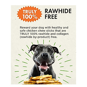 P2P Hide Free Chicken Recipe Chew for Dogs, 100% Rawhide Free Chews, Natural Dog Treats, Easily Digestible Large Rolls, Dental Sticks Pet Food Supplies, 2.4 Lb Bags(2 Pack)