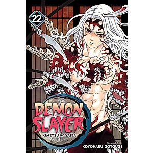 Demon Slayer: Kimetsu no Yaiba, Vol. 22 (22)