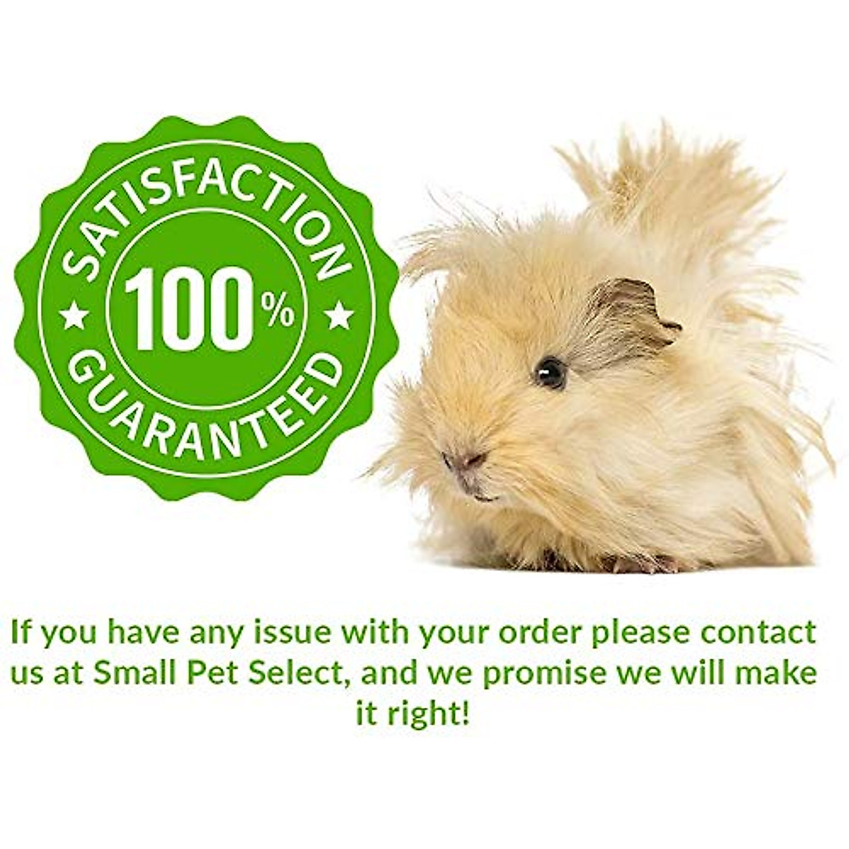 Small Pet Select- Pea Flakes, 8oz,green