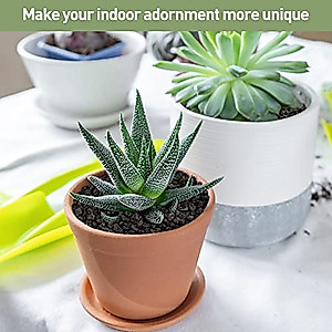 GASPRO 2.5lbs Lava Rocks for Plants, 1/5 Inch Black Gravel for Succulent, Cactus, Bonsai Tree, Pure Volcanic Rocks, Top-Dressing, Good Drainage