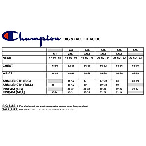 Champion Hoodie for Men Big And Tall Mens Oversized Pullover Fleece Sweatshirt Blush