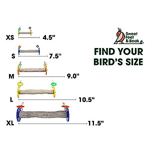 Sweet Feet and Beak Roll Bird Swing - Pumice Perch Bird Toys Trims Nails and Beaks, Safe and Non-Toxic Bird Cage Accessories for Small and Large Birds, Swinging Toys Birds Will Love, Large 10.5 Inches
