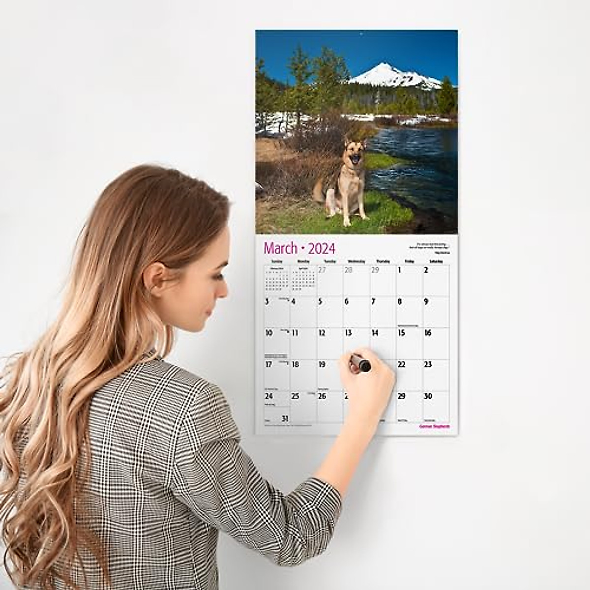 RED EMBER German Shepherds 2024 Wall Calendar 12 Month | 12" x 24" Open | Thick & Sturdy Paper | Giftable | Calendar 2024