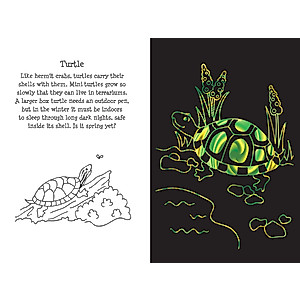 Scratch and Sketch Pet Shop