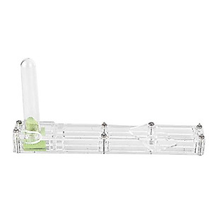 Acrylic Ant Farm, Ant Breeding Box, Durable Easy to Install with Water Tower Moisturizing for Ant for Insect Garden School Household(Transparent nest)