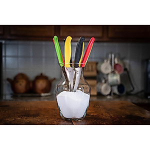 Spyderco Z-Cut Kitchen Knife with 4.3" Blunt Tip CTS BD1N Stainless Steel Blade and Durable Green Polypropylene Handle - SpyderEdge - K13SGN