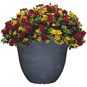 Classic Home and Garden Indoor/Outdoor Round Honeysuckle Resin Flower Pot Planter, Zinc Grey, 13" (Pack of 4)