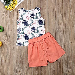 2Pcs/Set Fashion Toddler Kids Baby Girl Sleeveless T-Shirt Top+Floral Denim Shorts Outfits (Flamingo+Orange, 6-7 Years)
