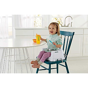 Fisher-Price Healthy Care Deluxe Booster Seat