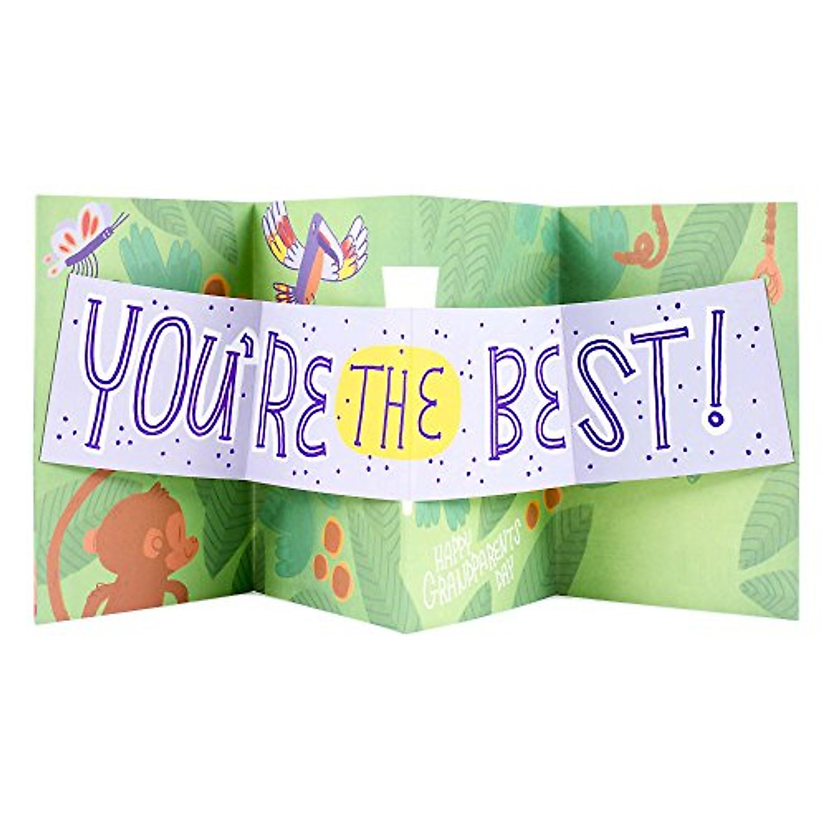 Hallmark Grandparents Day Greeting Card from Grandchildren or Kid (Pop Up Banner for Best Grandparent)