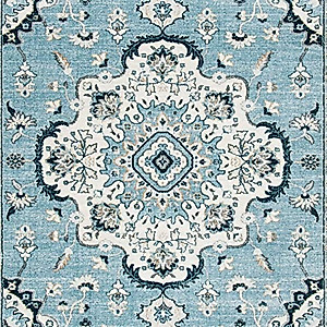 SAFAVIEH Isabella Collection 4' x 6' Light Blue/Cream ISA921M Oriental Non-Shedding Living Room Bedroom Accent Rug