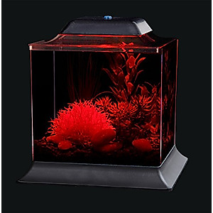 Koller Products 1.5-Gallon AquaScene Aquarium with LED Lighting