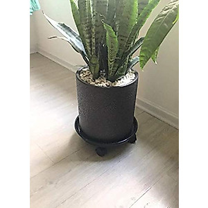 Coadura Plant Caddy with Wheels 15.5 Inch - 2 Pack Plant Caddy on Wheels Heavy Duty,Plant Dolly Plant Tray with Wheels Planter Caddies Indoor/Outdoor, Black