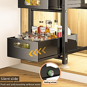 Under Sink Organizer and Storage - PFDHQS Upgraded All Metal, 2 Layers Pull-Out, Large Capacity - Ideal for Bathroom and Kitchen Cabinet Organization and Storage (Black-1Piece)