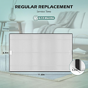 F1 Replacement Filter Compatible with Filtrete 3M C01 T02 Room Air Cleaner Purifer FAP-C01-F1,FAP-T02-F1, FAP-01BA-G1, FAP-T02WA-G1 ＆ FAP-ST02N, Part#FAPF-F1-2P, 2packs
