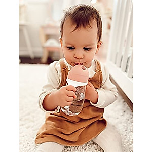 Beaba Straw Sippy Cup, Sippy Cup with Removable Handles, Sippy Cup with Straw, Baby Straw Cup, Toddler Cup, Toddler Straw Cups, 8+ months, 10 oz, Rose