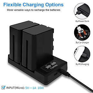 Miady 2 Pack Replacement Sony NP-F970 Battery and Dual USB Charger for Sony NP-F970 NP-F930 NP-F950 NP-F960 NP-F550 NP-F530 NP-F330 NP-F570 Battery and Sony Handycam(Type C & Micro USB Ports)