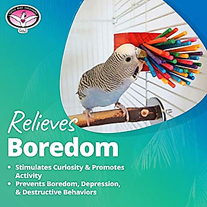 Super Bird Creations SB301 Chewable Paper Party Bird Toy with Colorful Lollipop Sticks, Large Size, 6.5” x 1.5” x 1.5”,Varies